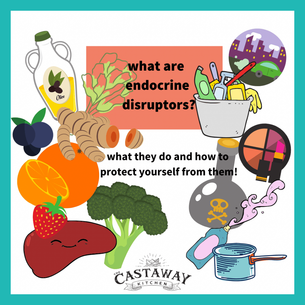 What are Endocrine Disruptors? Why You Should Care!