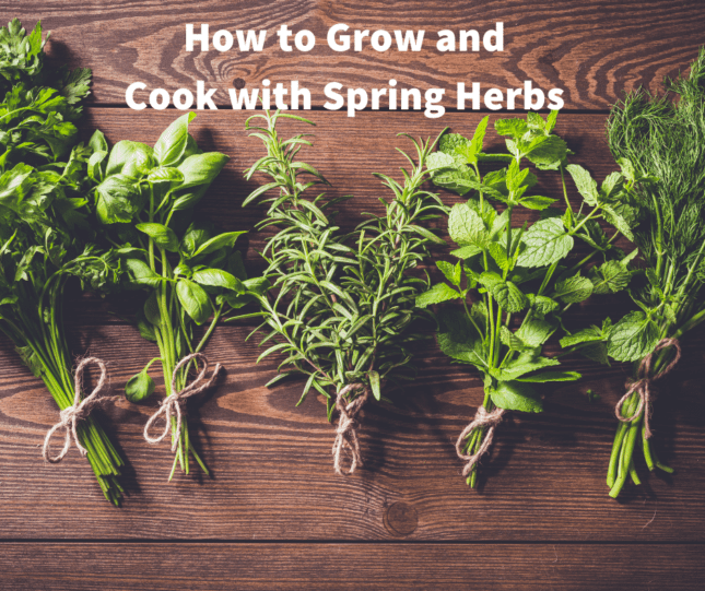 Spring Herbs for Better Health - The Castaway Kitchen