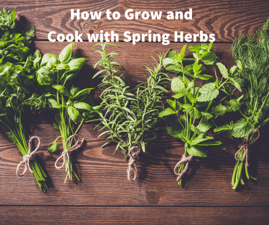 Spring Herbs for Better Health - The Castaway Kitchen